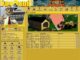 Kapiland – Browsergames